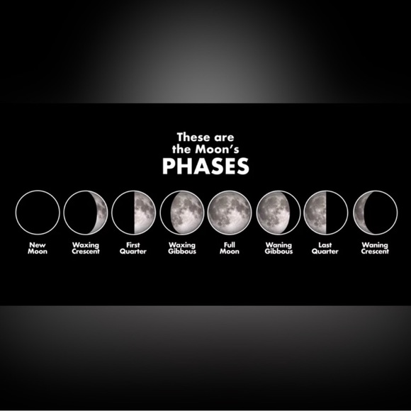 Jewelry | Moon Phase Sun Ouroboros Eternal Renewal Rebirth Crescent ...